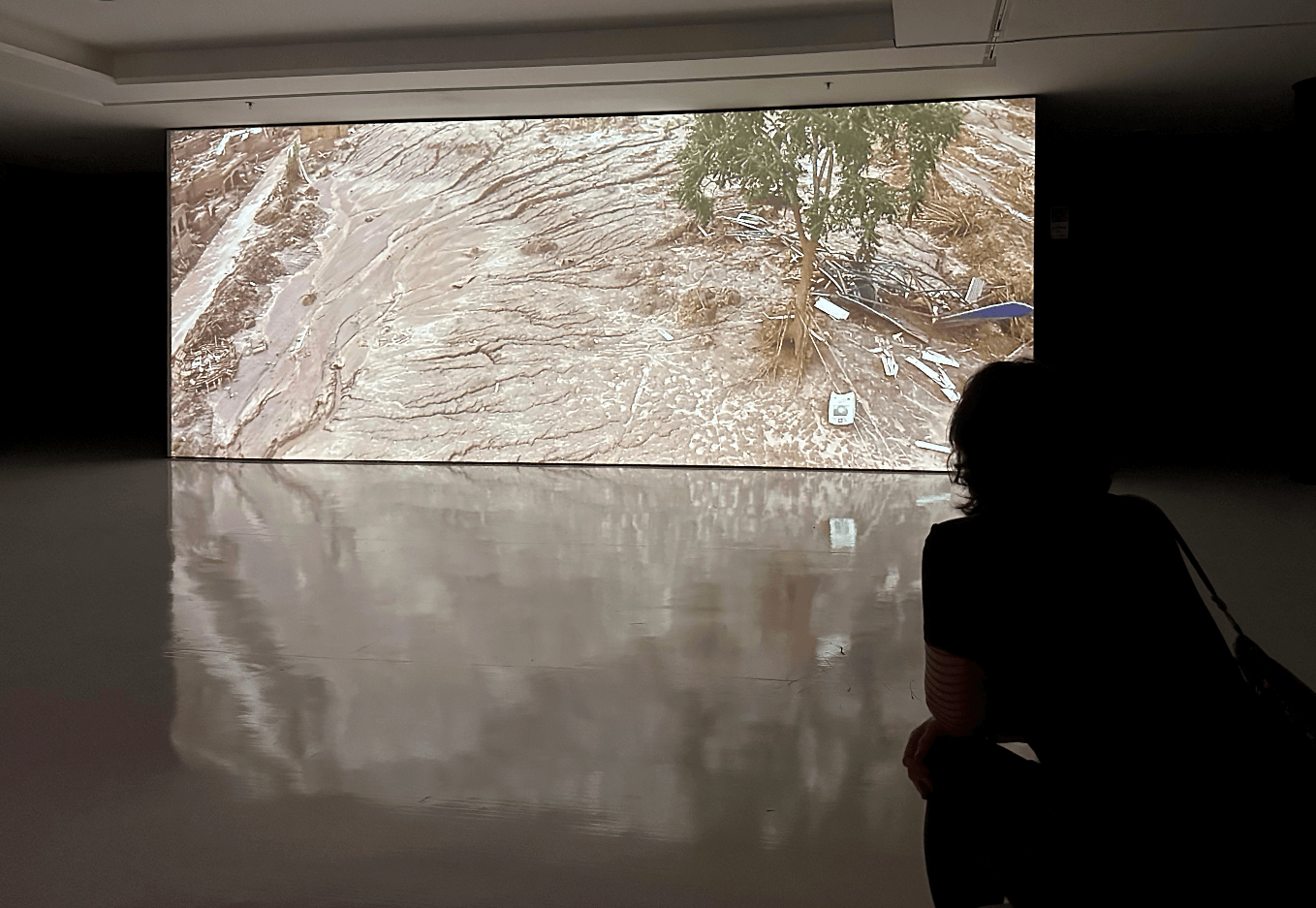 SOLASTALGIA – LUCAS BAMBOZZI